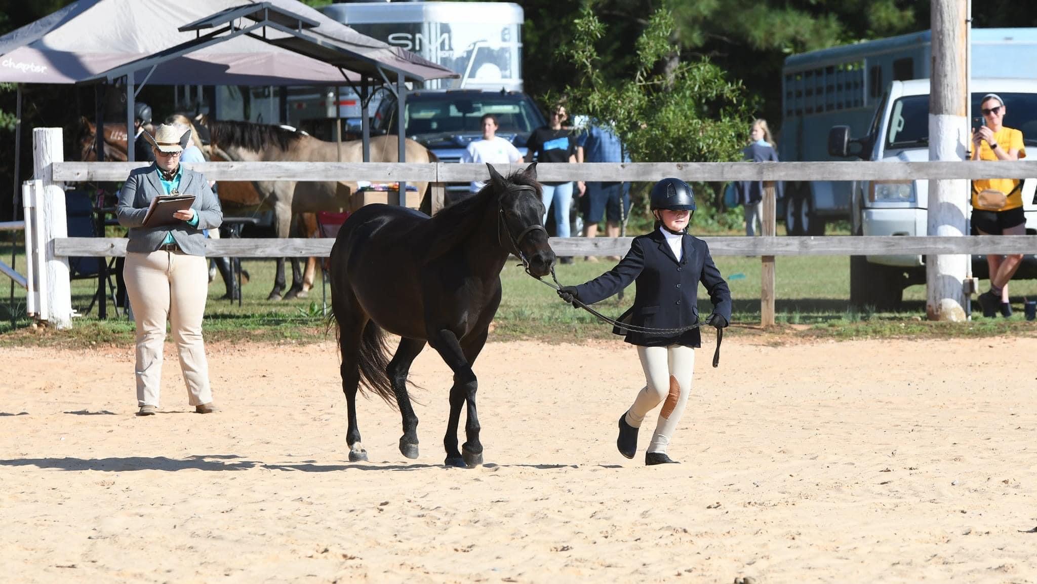 Gallery – Union County Saddle Club